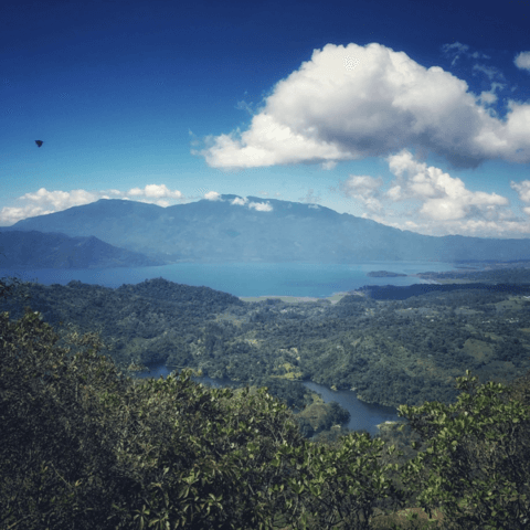 Parques Nacionales | ICF