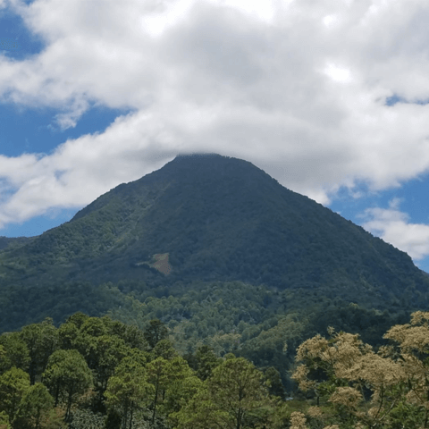 Áreas Protegidas | ICF