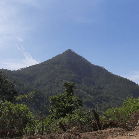 Áreas Protegidas | ICF