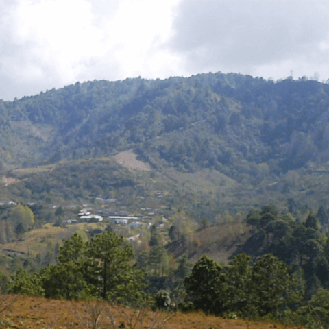 Parques Nacionales | ICF