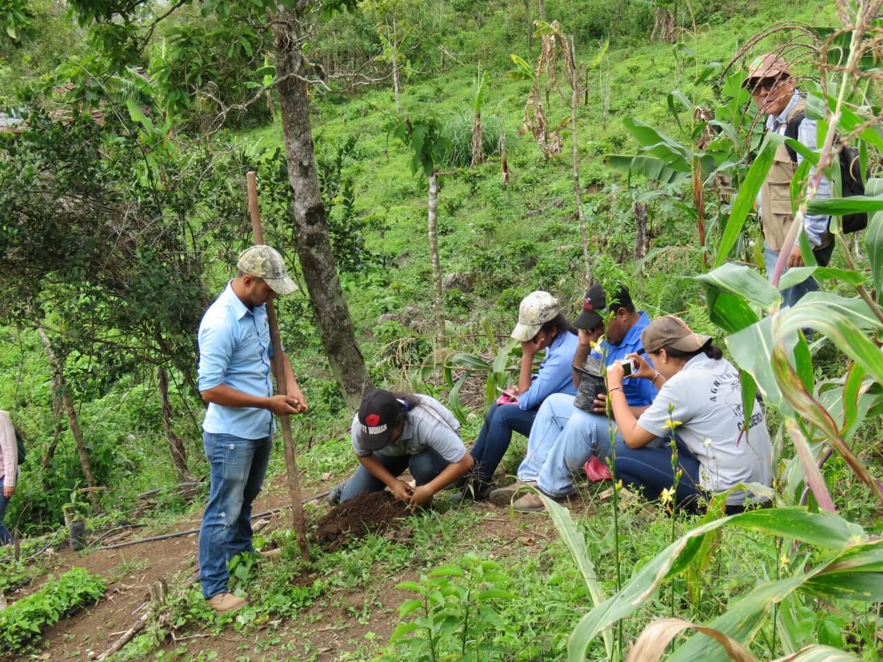 Reserva de Biósfera Cacique Lempira | ICF