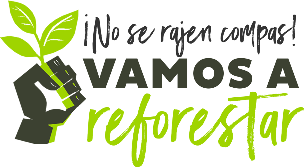 Campaña reforestación | ICF